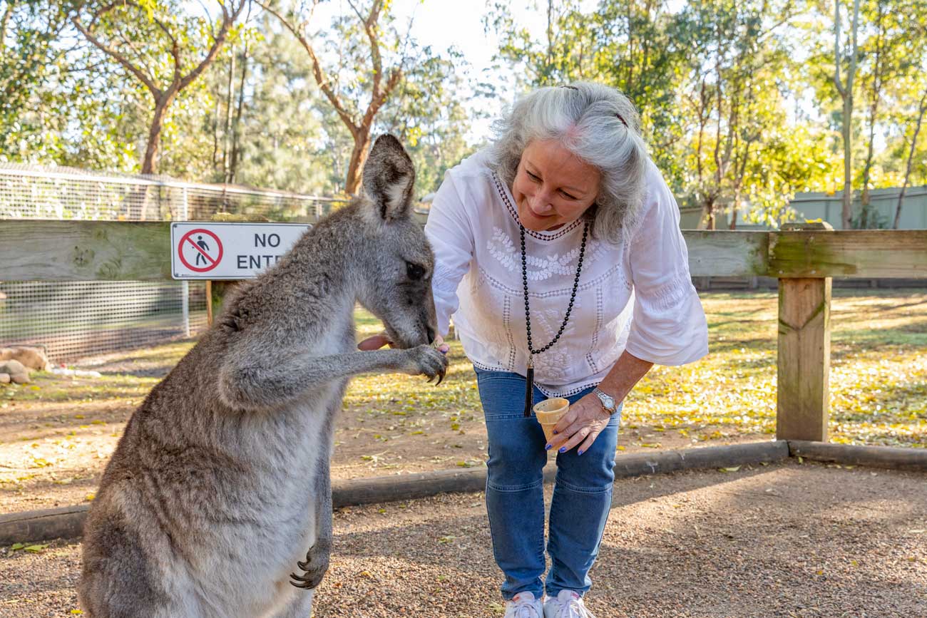 Feeding Kangaroos at Featherdale Wildlife Park | FJ Tours